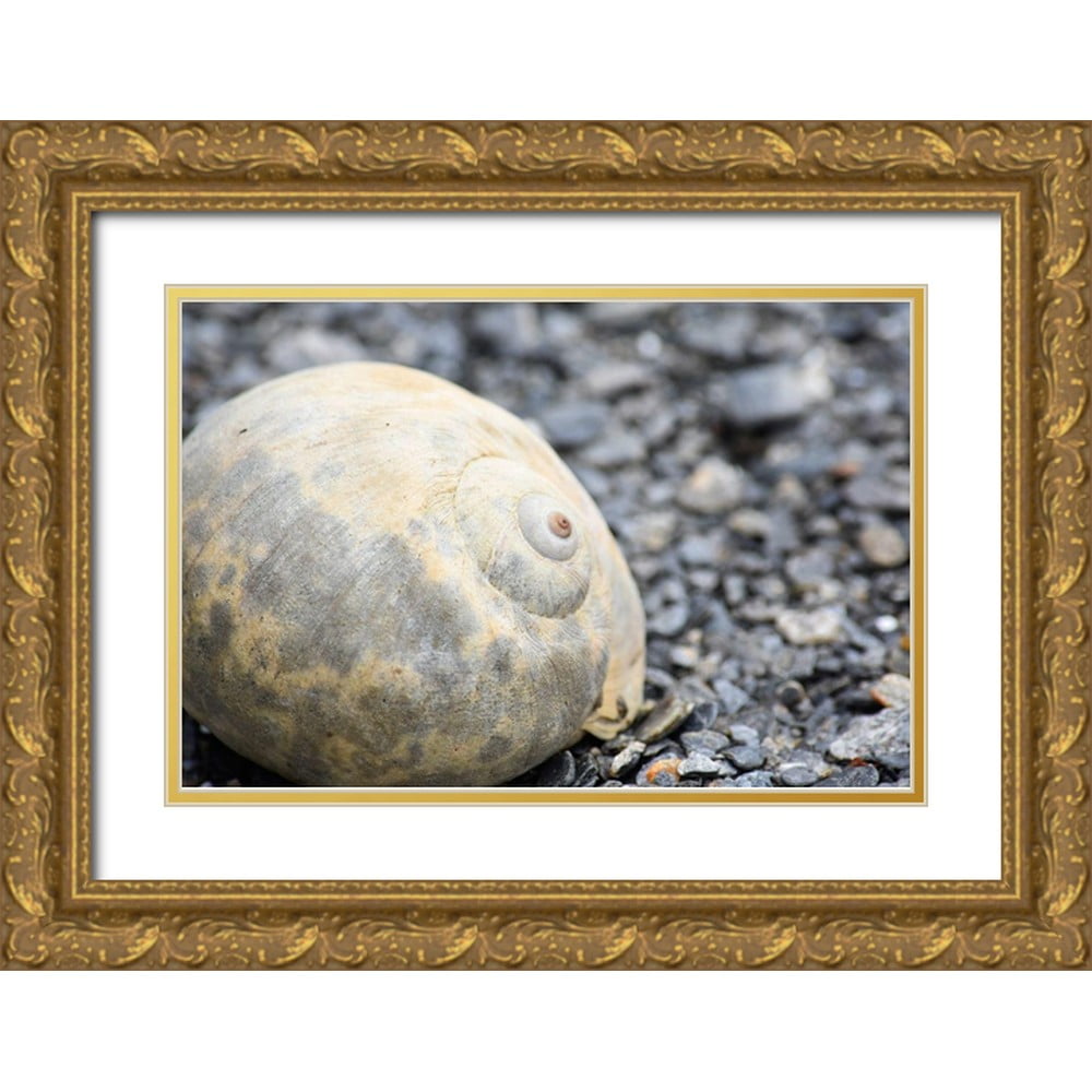 PLank, Savanah 32x23 Gold Ornate Wood Framed with Double Matting Museum ...