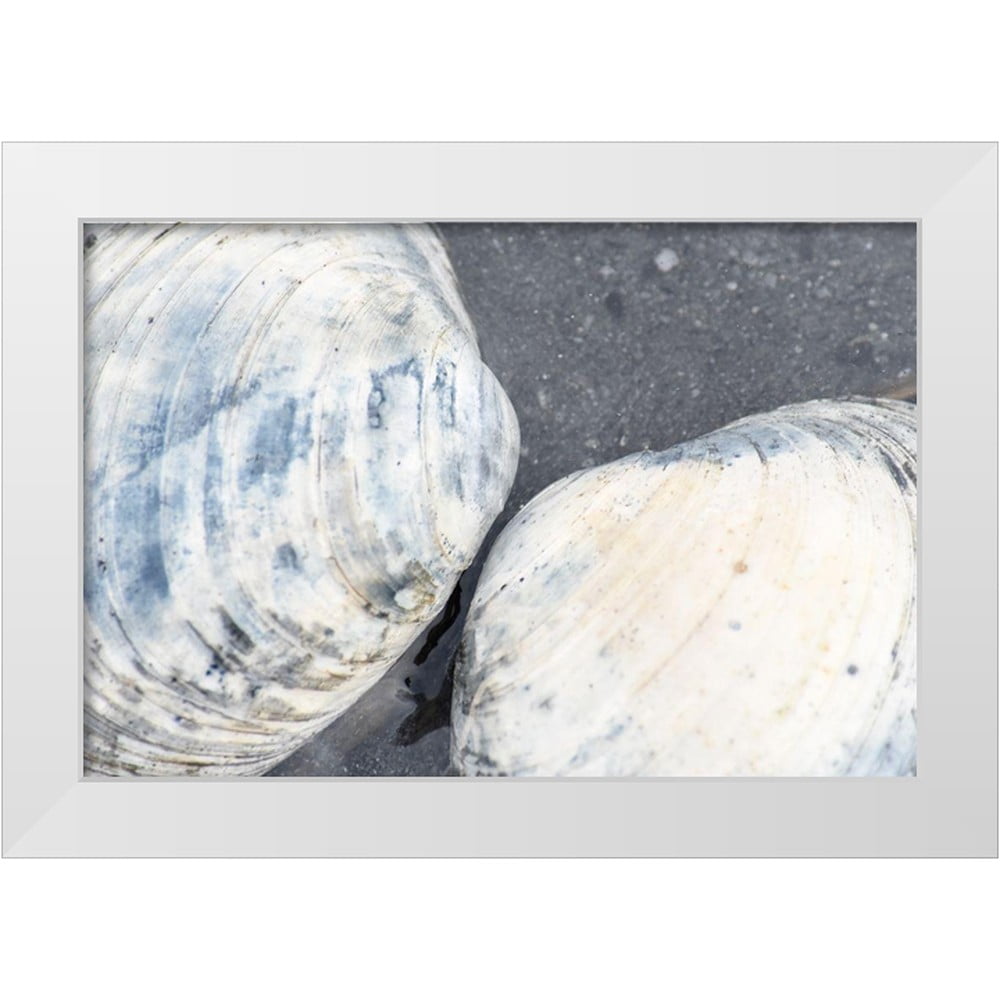 PLank, Savanah 32x23 White Modern Wood Framed Museum Art Print Titled ...