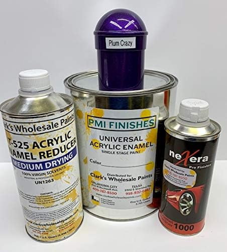 PMI Acrylic Enamel Single Stage Paint Kit (Gallon Kit, Plum Crazy ...