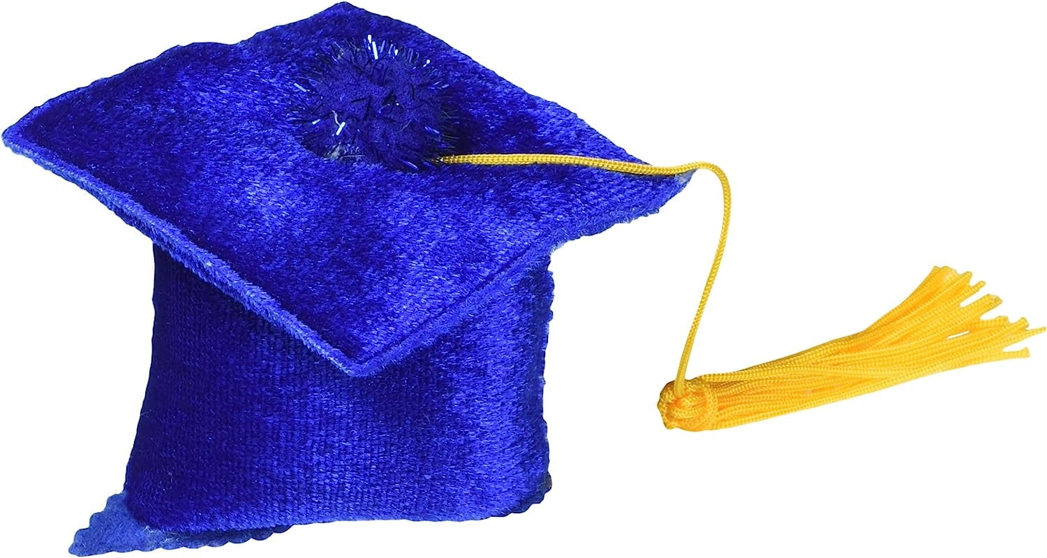 PMU Grad Cap Hair Clip (blue) Party Accessory Pkg/1 - Walmart.com
