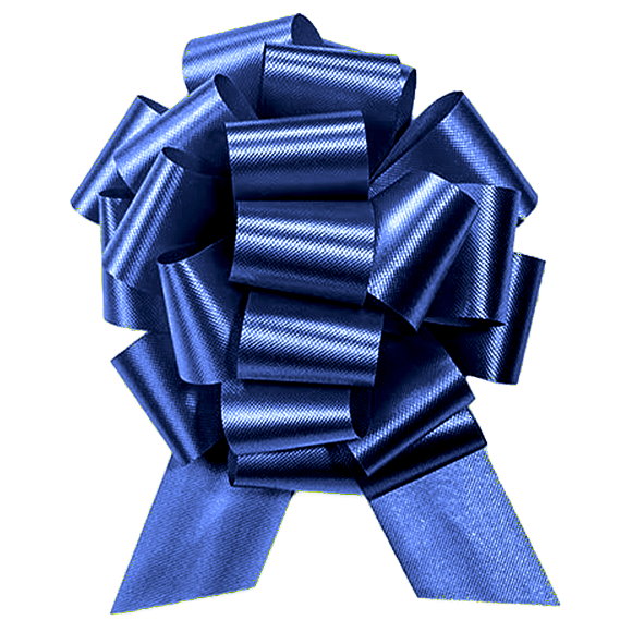 Big Blue Bow