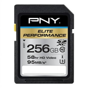 256 GB Memory Cards