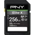 PNY Elite-X 256GB Micro SDXC Flash Memory Card - Walmart.com