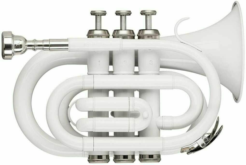 POCKET TRUMPET Bb PITCH WHITE.COLOR WITH CASE.& MOUTHPIECE, NICELY ...