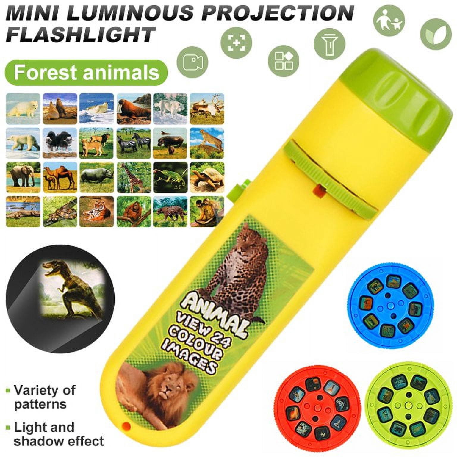POINTERTECK Projector Torch Projection Light Torches lamp Flashlight ...