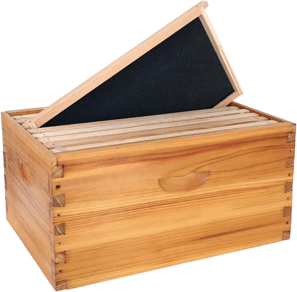 POLLIBEE 8 Frame Deep Brood Bee Hive Box Dipped in Beeswax,Beehive Box ...