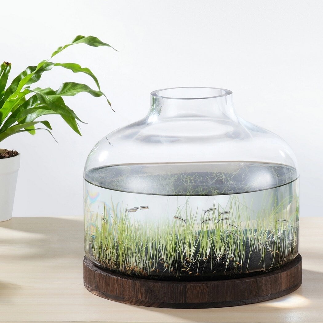 PONDON 2 Gallon Fish Bowl Vase, Featured Aquarium Kit Aquariums Channel ...