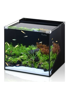 5 Gallon Fish Tank in Fish Tanks - Walmart.com