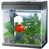 PONDON 1.7 Gallon Freshwater Glass Aquarium - Starter Kit with Pump ...