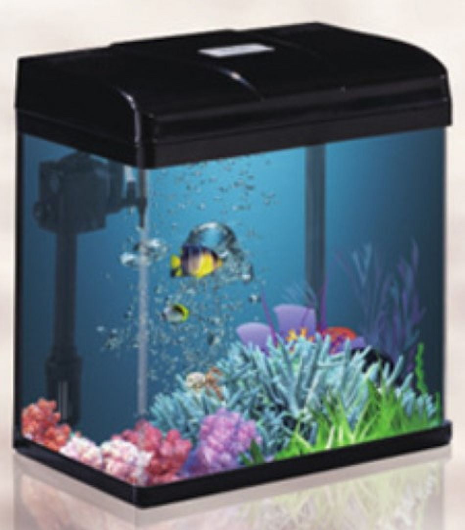 PONDON Fish Tank, 1.7 Gallon Glass Aquarium with Air Pump & LED Light ...