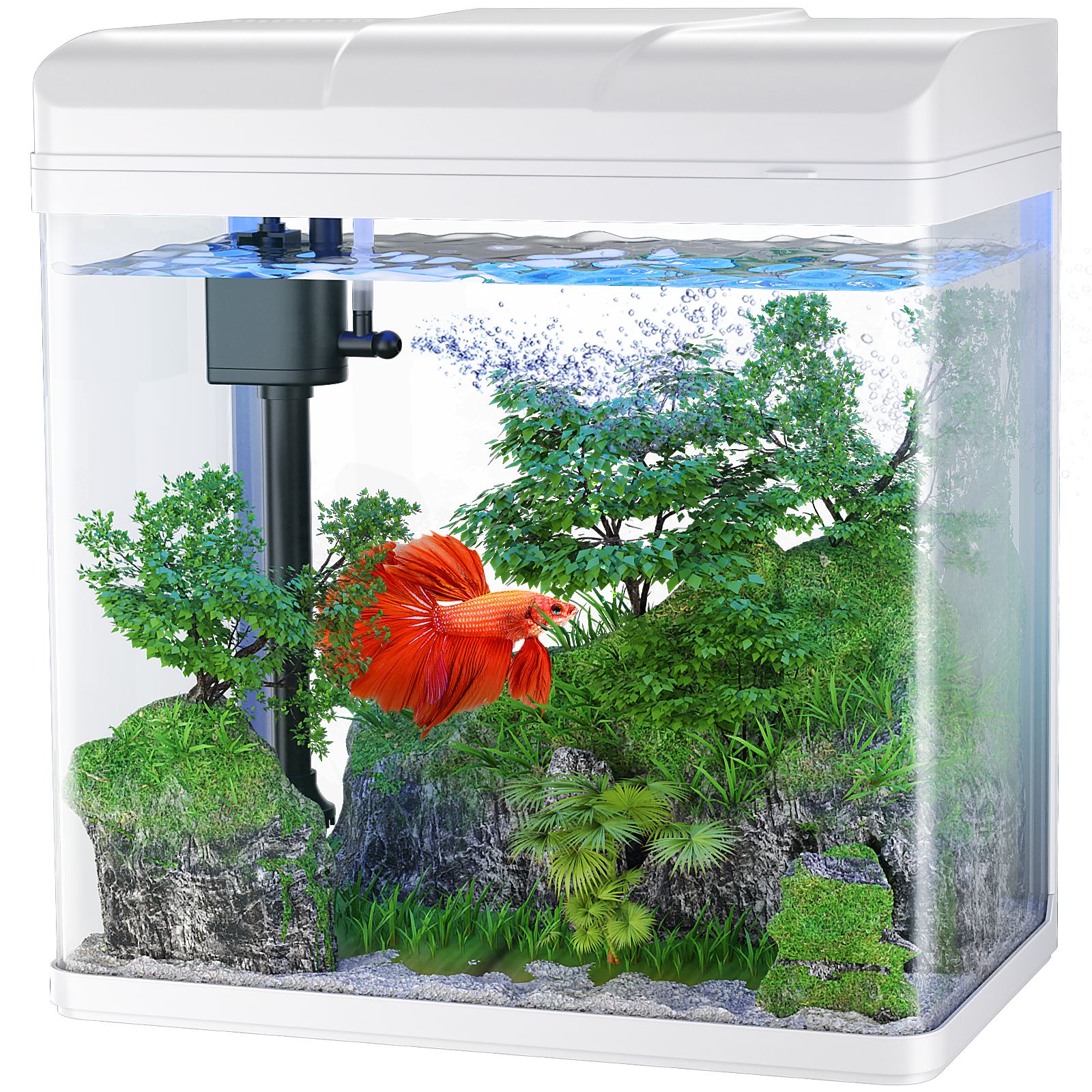 PONDON Fish Tank, 1.7 Gallon Glass Aquarium with Air Pump & LED Light ...