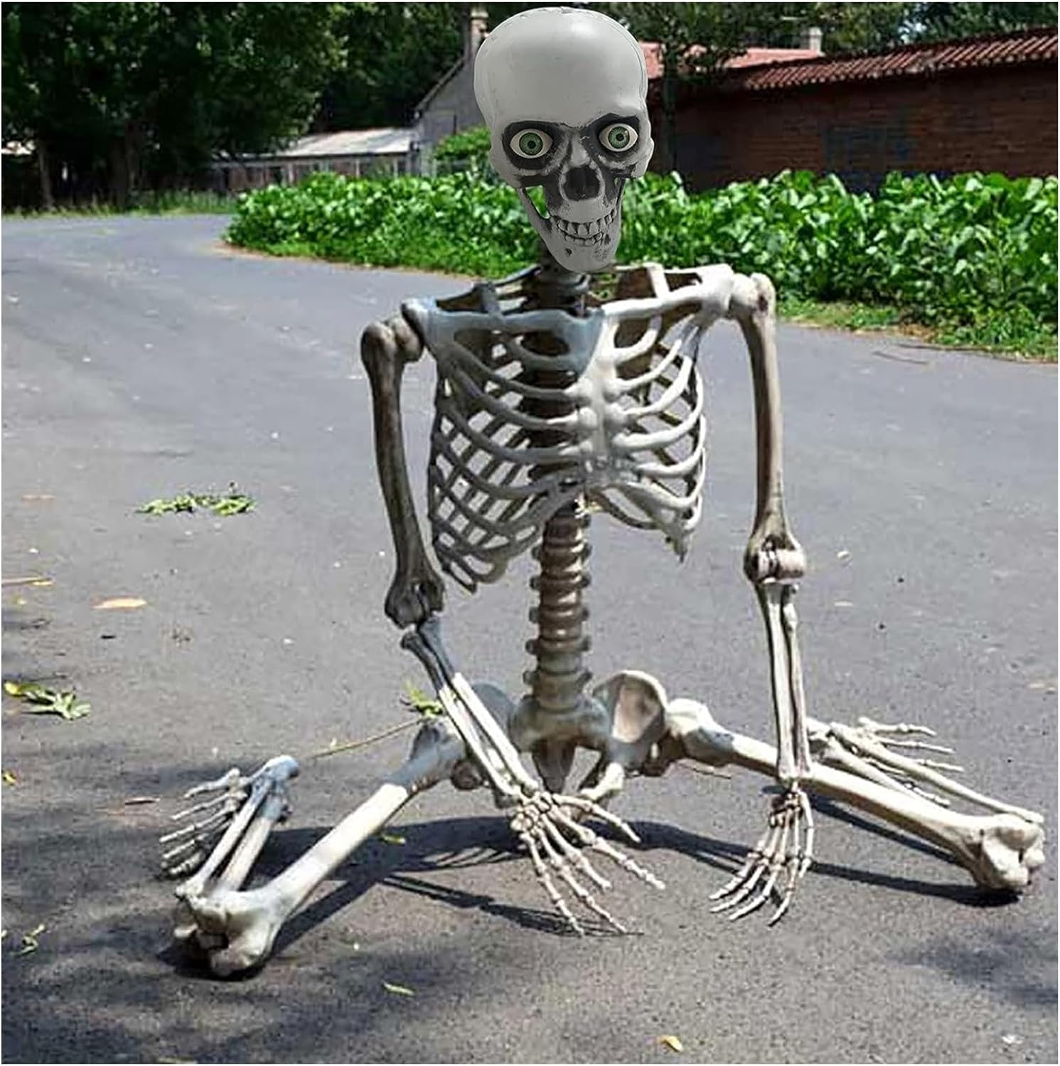PONPRNGY Halloween Skeleton Life Size - Halloween Full Body Posable ...