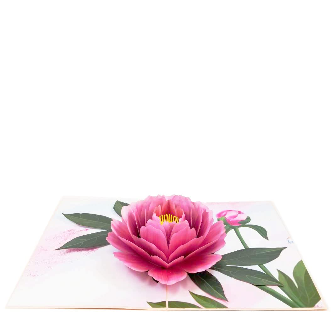 POP CARD EXPRESS Peony Flower Pop Up Card - Birthday, Retirement ...