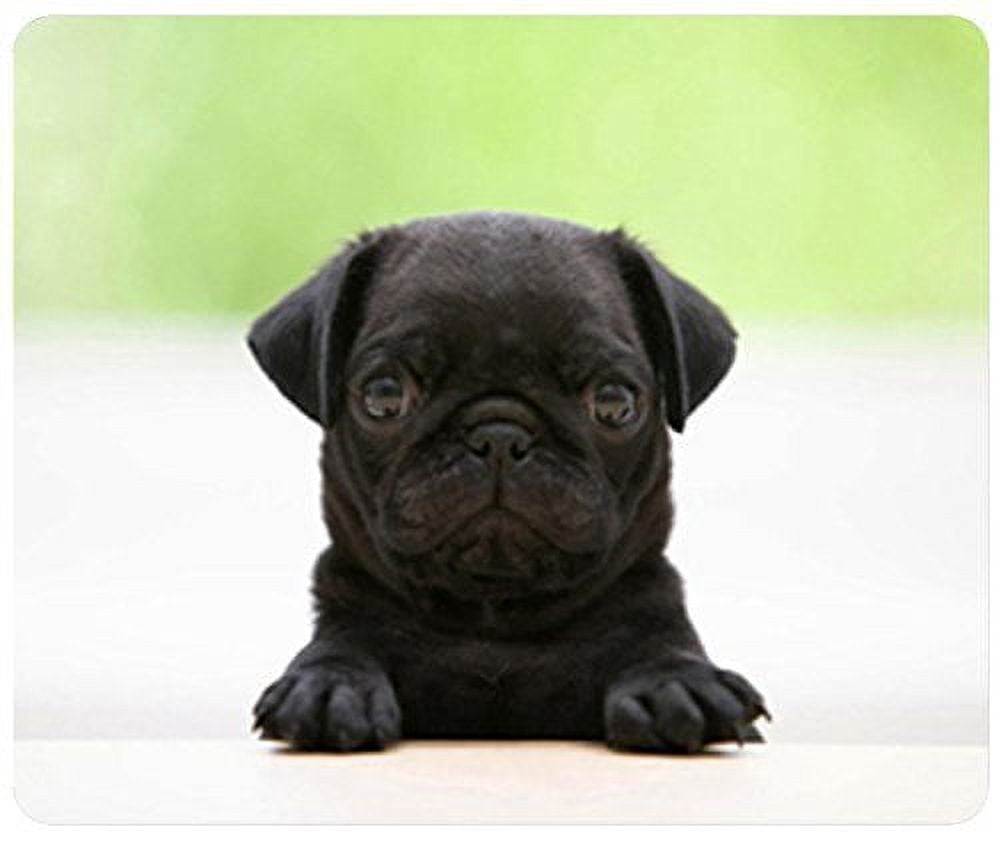 POPCreation Black Pug Mouse pads Gaming Mouse Pad 9.84x7.87 inches ...