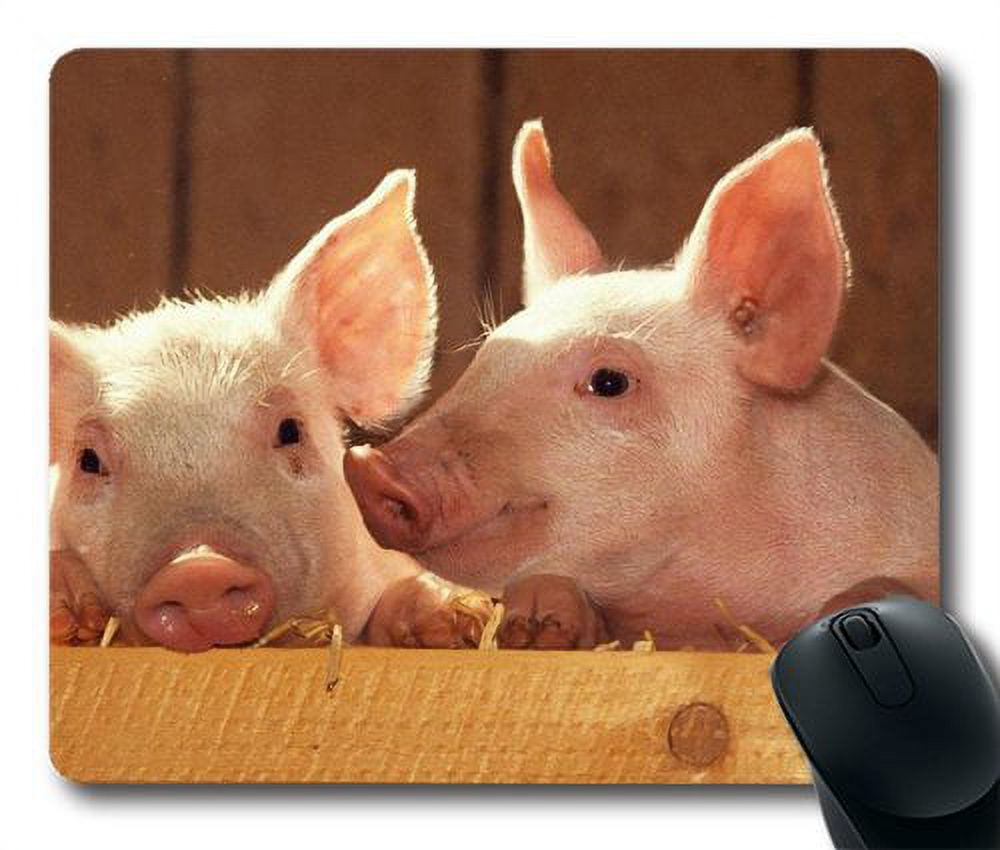 POPCreation pigs piglets piggy pets park Mouse pads Gaming Mouse Pad 9 ...