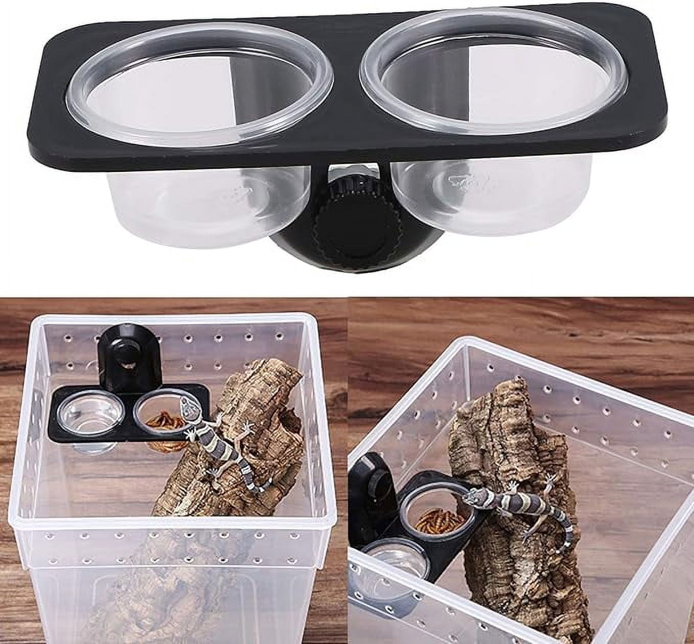 POPETPOP Gecko Feeder Ledge-Small Gecko Food Cups Reptile Feeder for ...