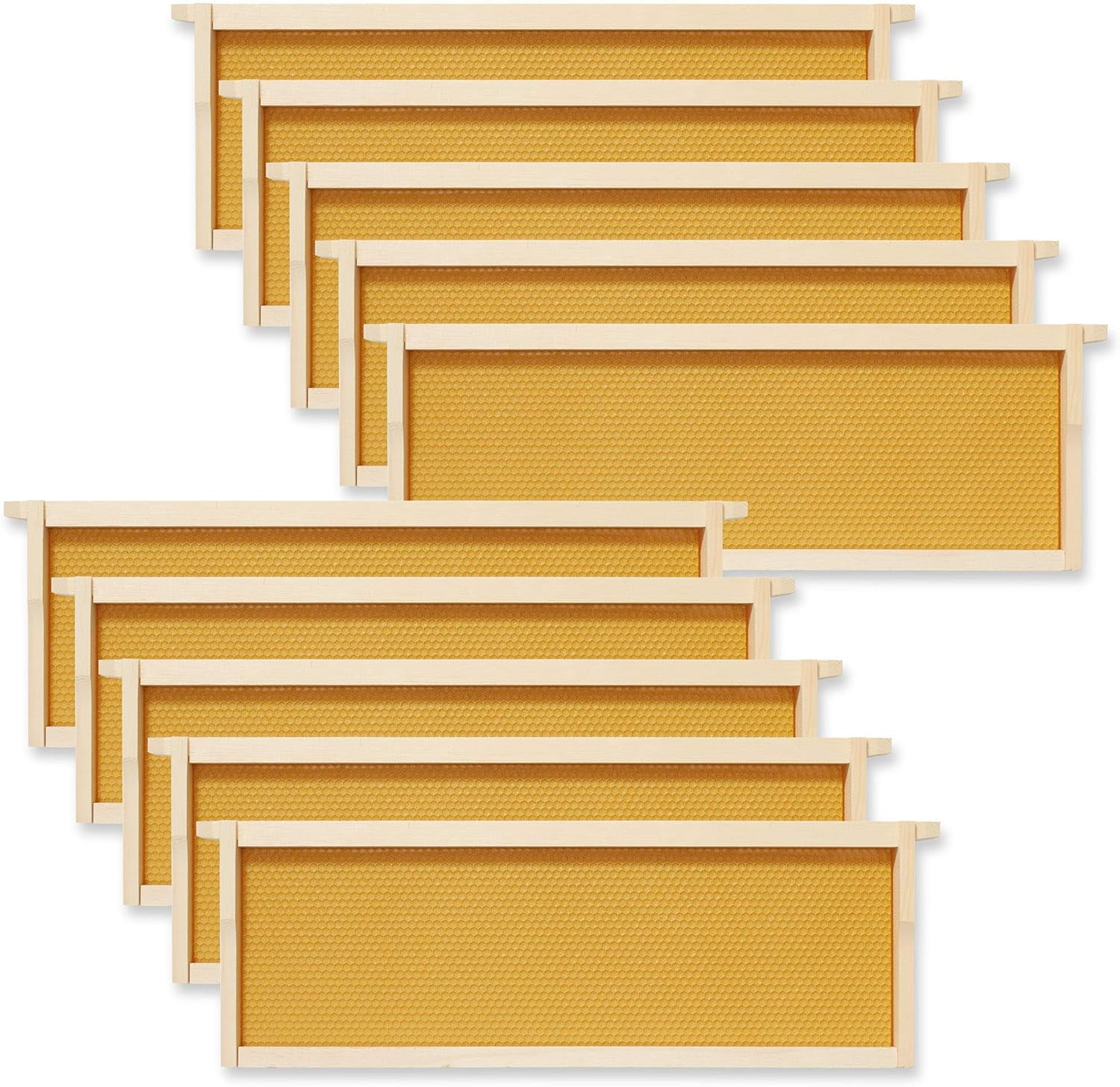 PORJGV 10 Assembled Beehive Frames with Waxed Natural Foundations for Beekeeping, 6-1/4 inch ...