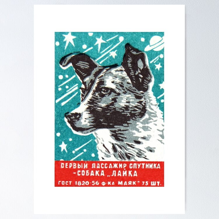 Poster 1950s Laika Space Dog Russian Matchbox Label - Unframed Poster ...