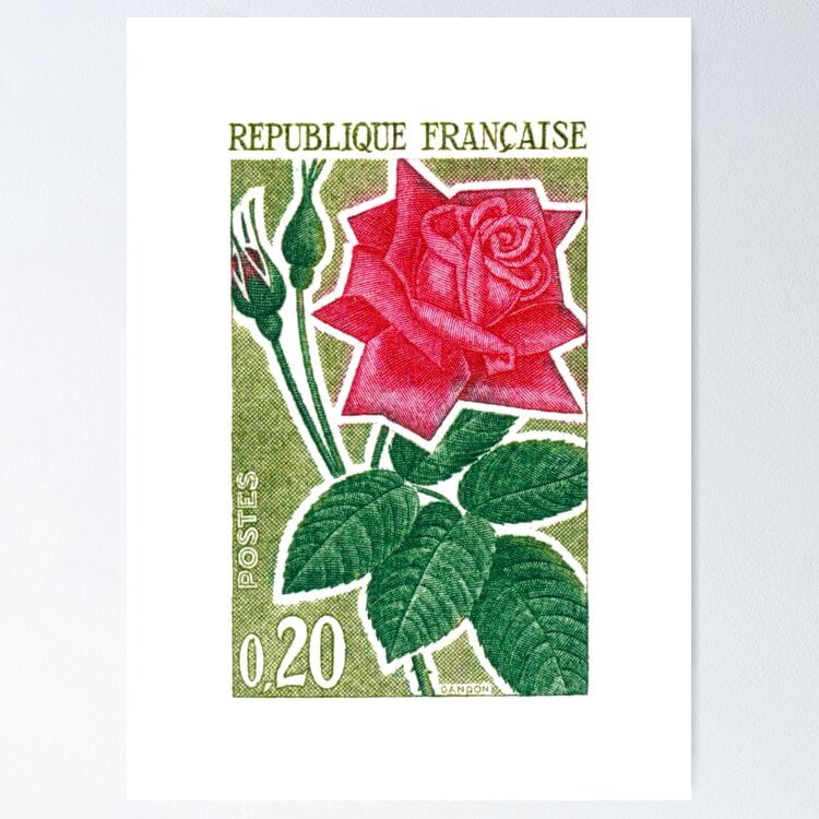 Poster 1962 FRANCE Modern Rose Postage Stamp - Unframed Poster, 24x36 ...