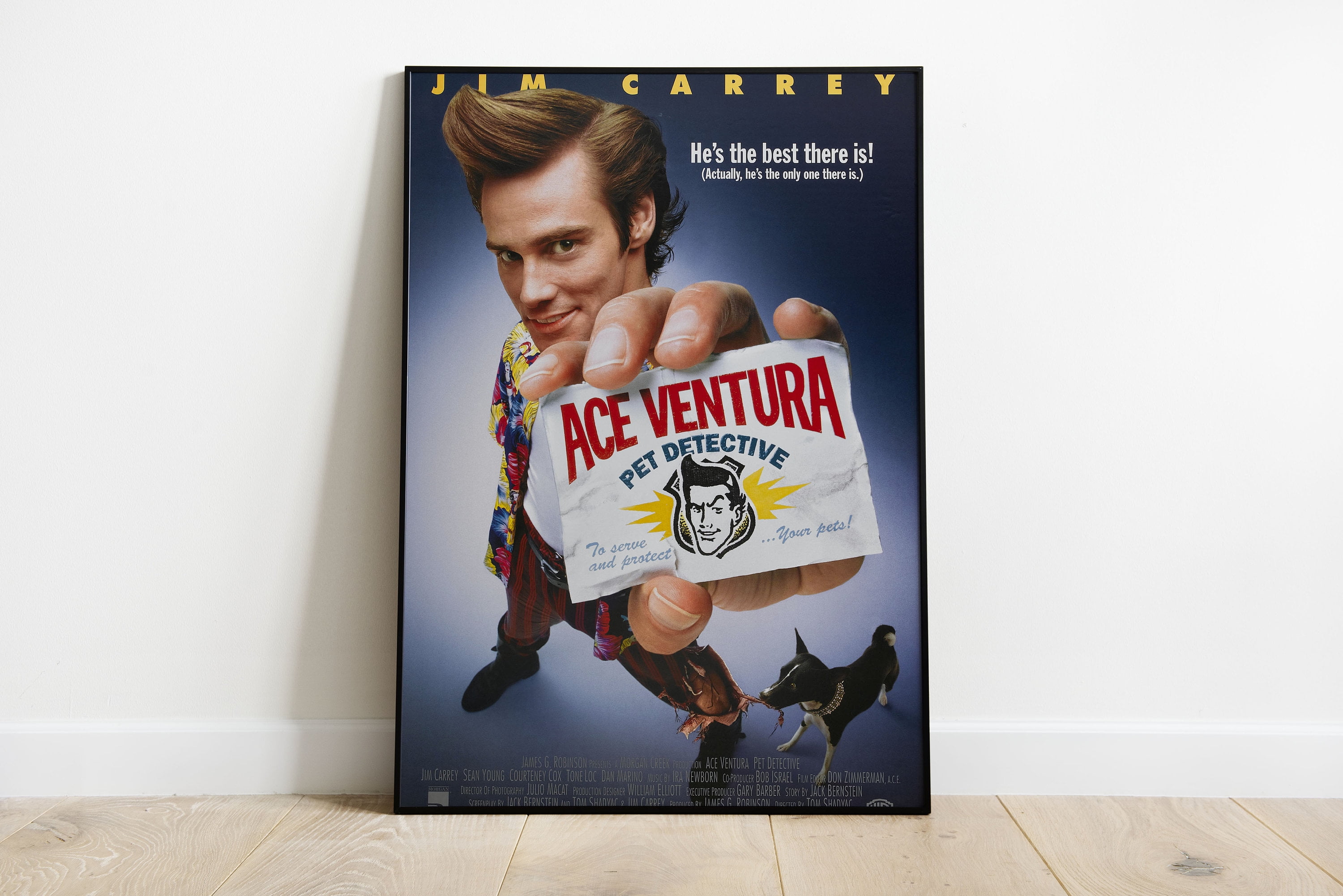 Poster Ace Ventura Pet Detective Poster Comedy Jim Carrey Film Wall ... Poster Ace Ventura Pet Detective Poster Comedy Jim Carrey Film Wall ...