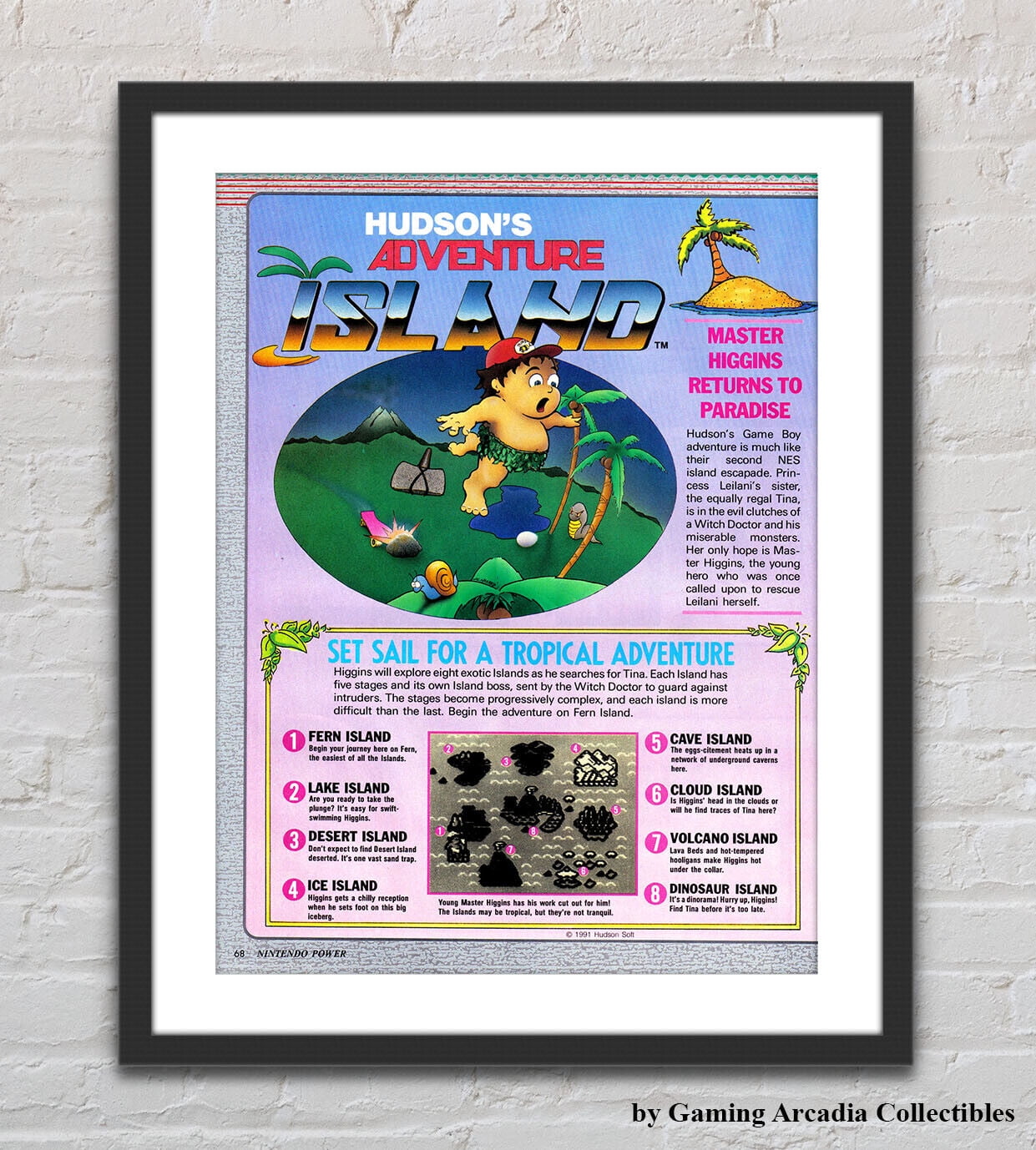 POSTER Adventure Island Nintendo Game Boy GB Poster-8x12-UNFRAMED ...