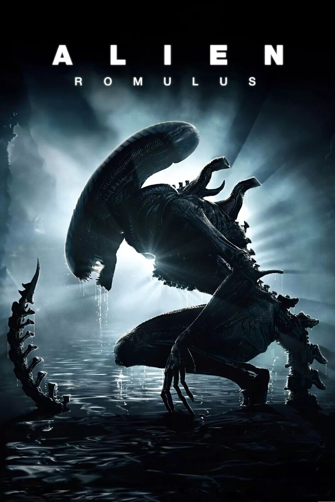 POSTER Alien: Romulus 2024 Movie Poster Wall Art (n) Cailee Spaeny ...