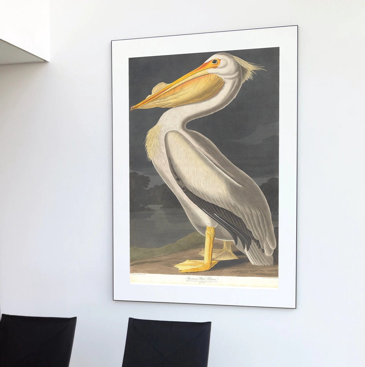 POSTER American White Pelican by John Audubon Bird Poster Bird Print ...