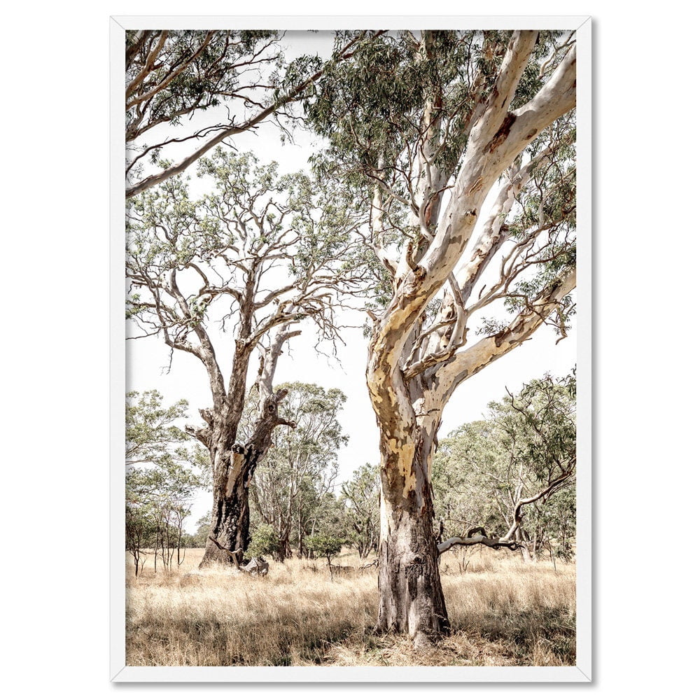 POSTER Australian Outback Landscape Art Print, Gumtree, Iron Bark ...