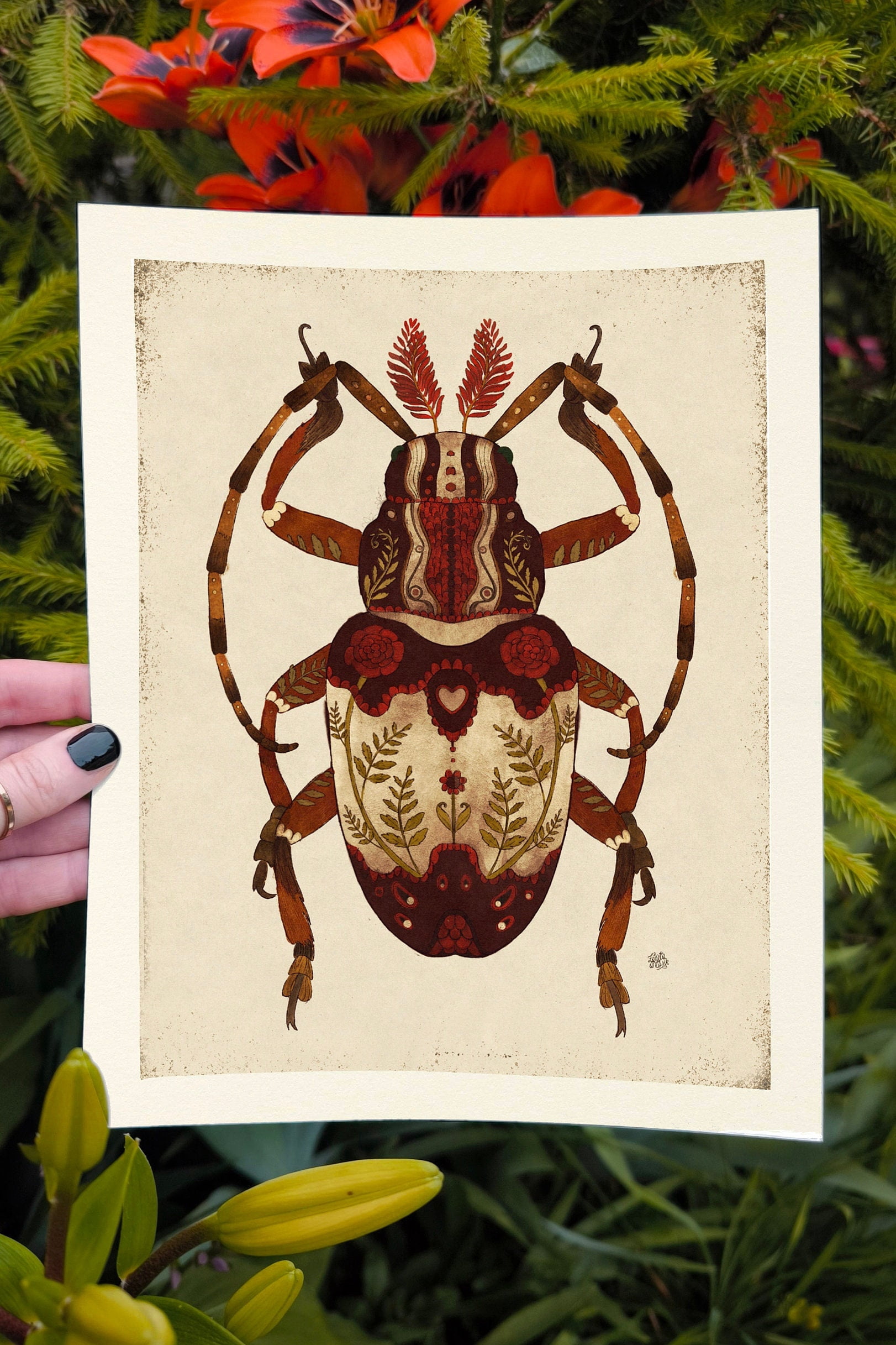 POSTER Beetle art, beetle folk, animal illustration, beetle art print ...