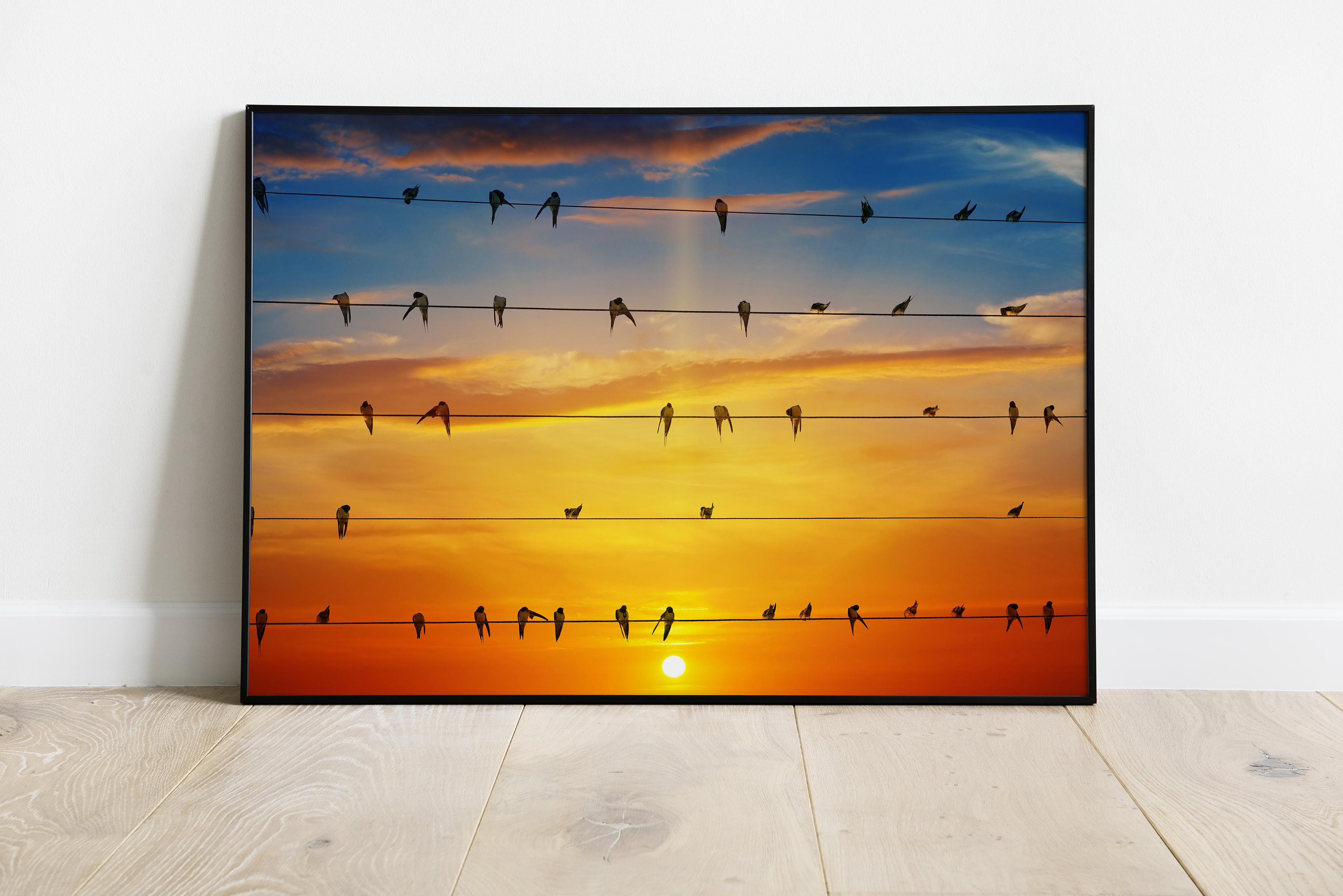 POSTER Birds in the Sunset Sky Poster Swallow Bird Graphic Nature ...