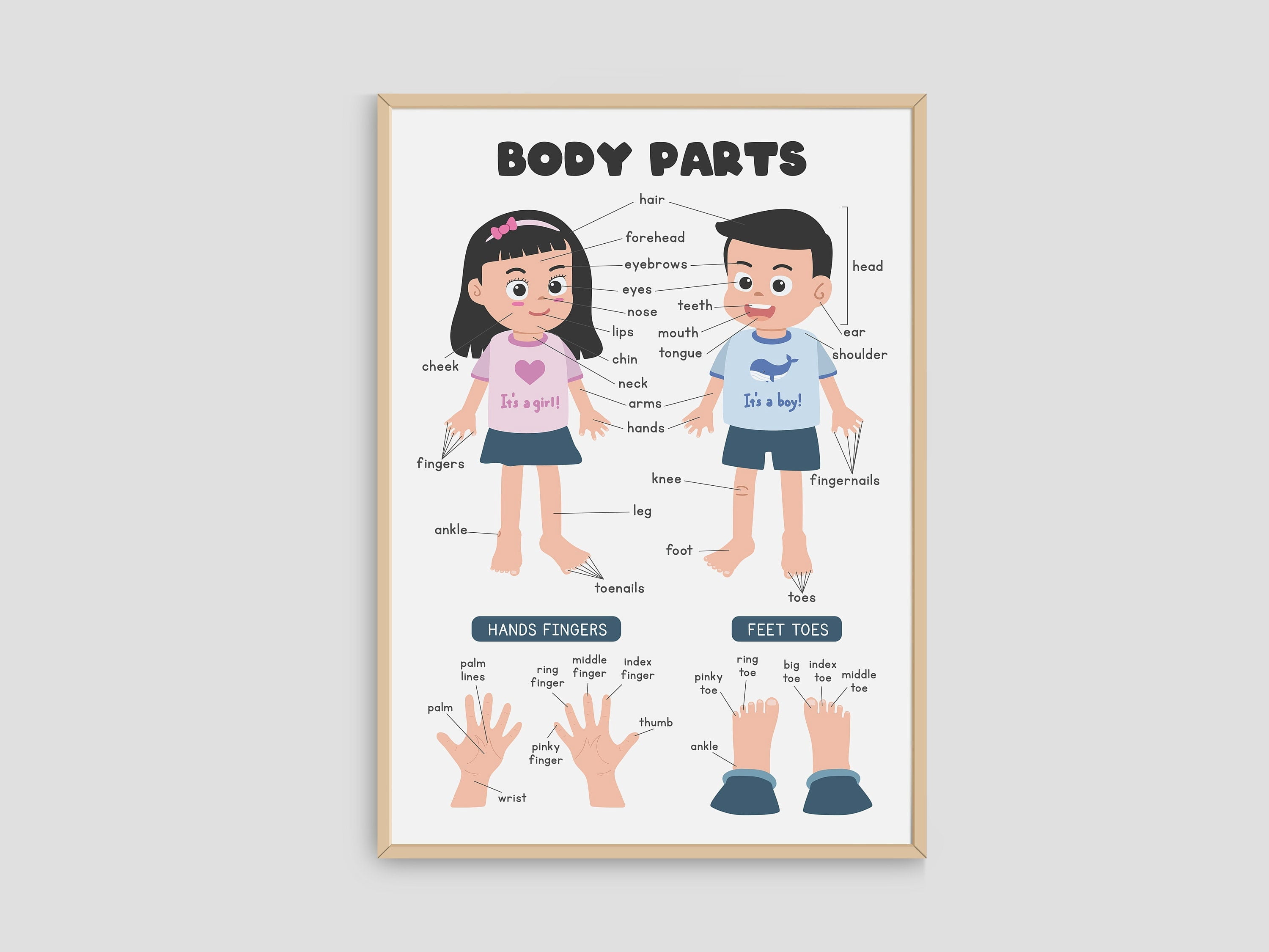 POSTER Body Parts Poster Montessori Homeschool Educational Posters For ...