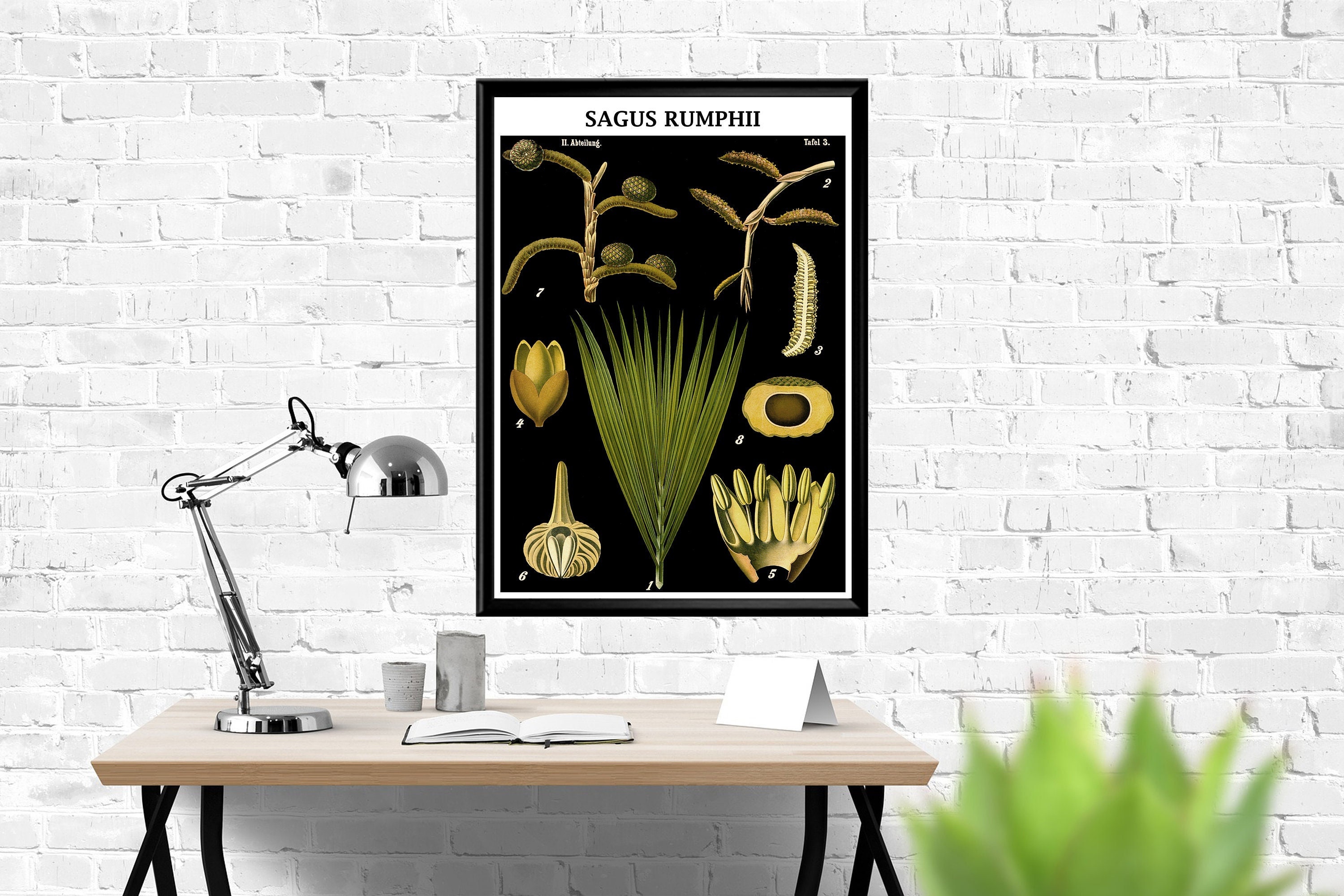 POSTER Botanical Print Sago Palm Poster Vintage Sago Palm Illustration ...