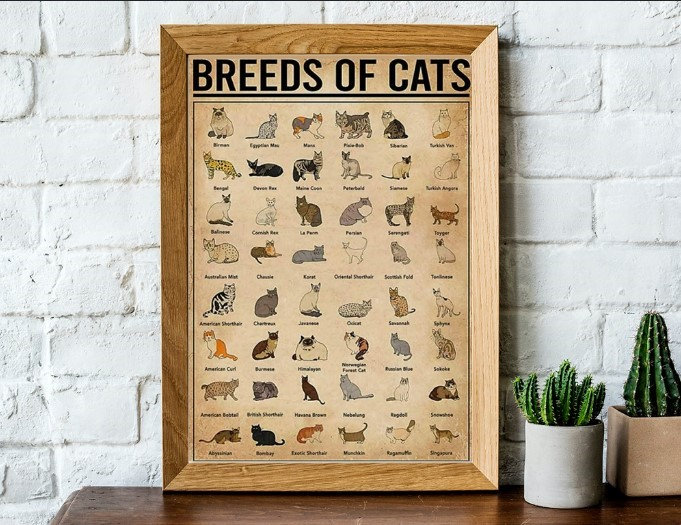 POSTER Breeds Of Cats Knowledge, Breeds Of Cats Poster, Wall Art Home ...