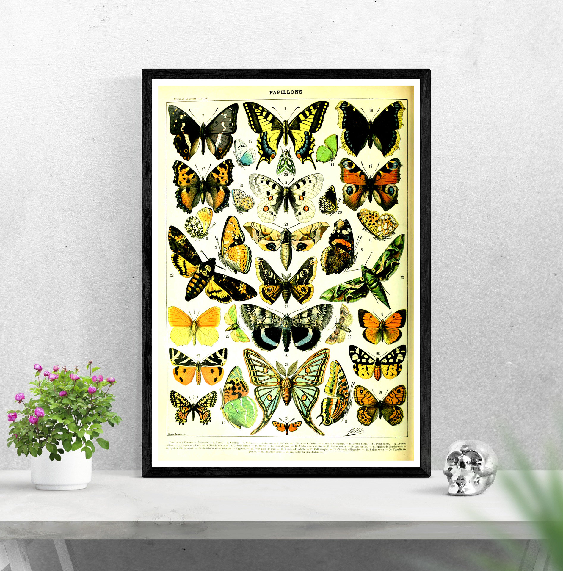POSTER Butterflies Poster Vintage Butterflies Art Butterflies Print By ...