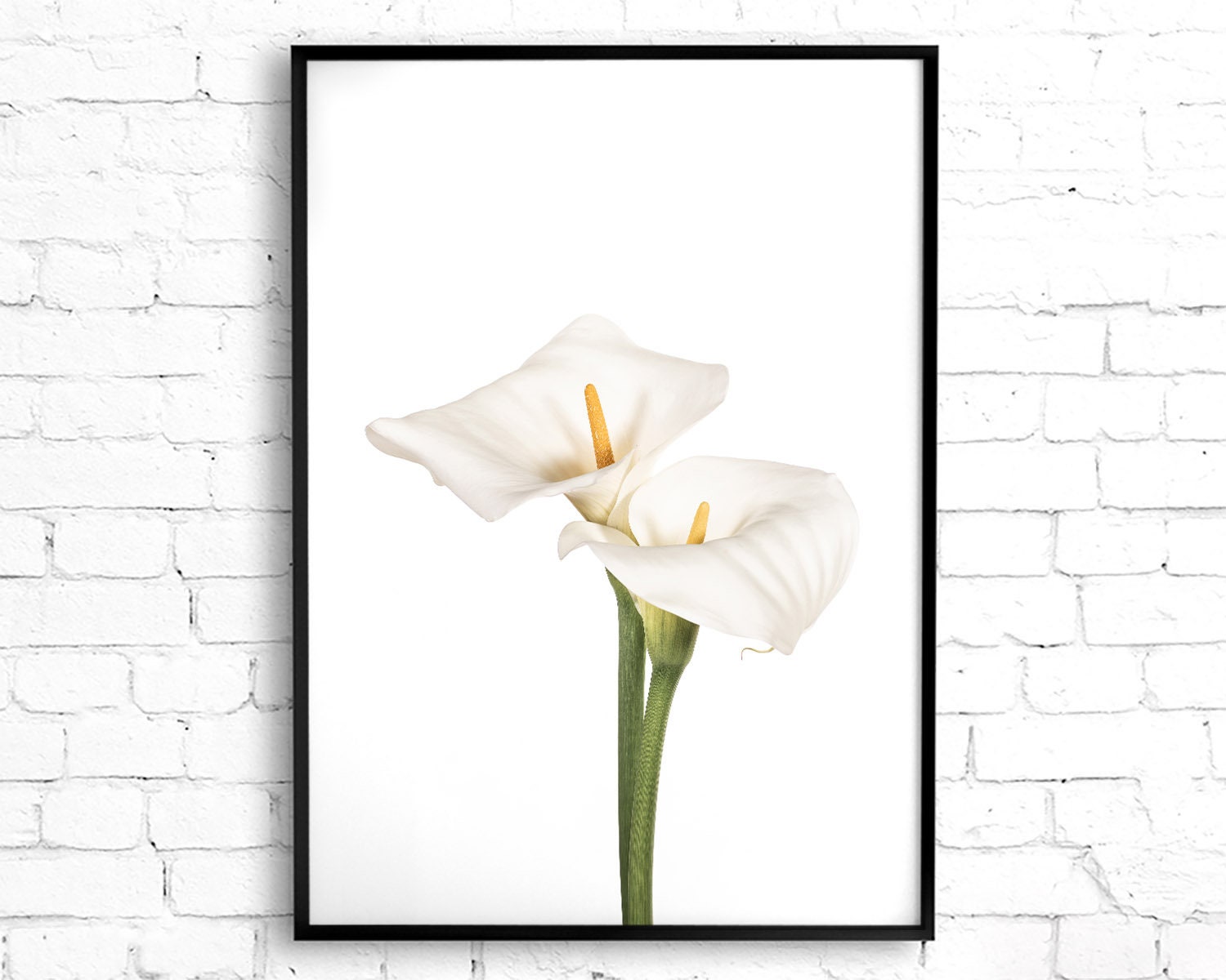 POSTER Calla Lily Print - Minimalist Decor, Flower Photography, Extra ...
