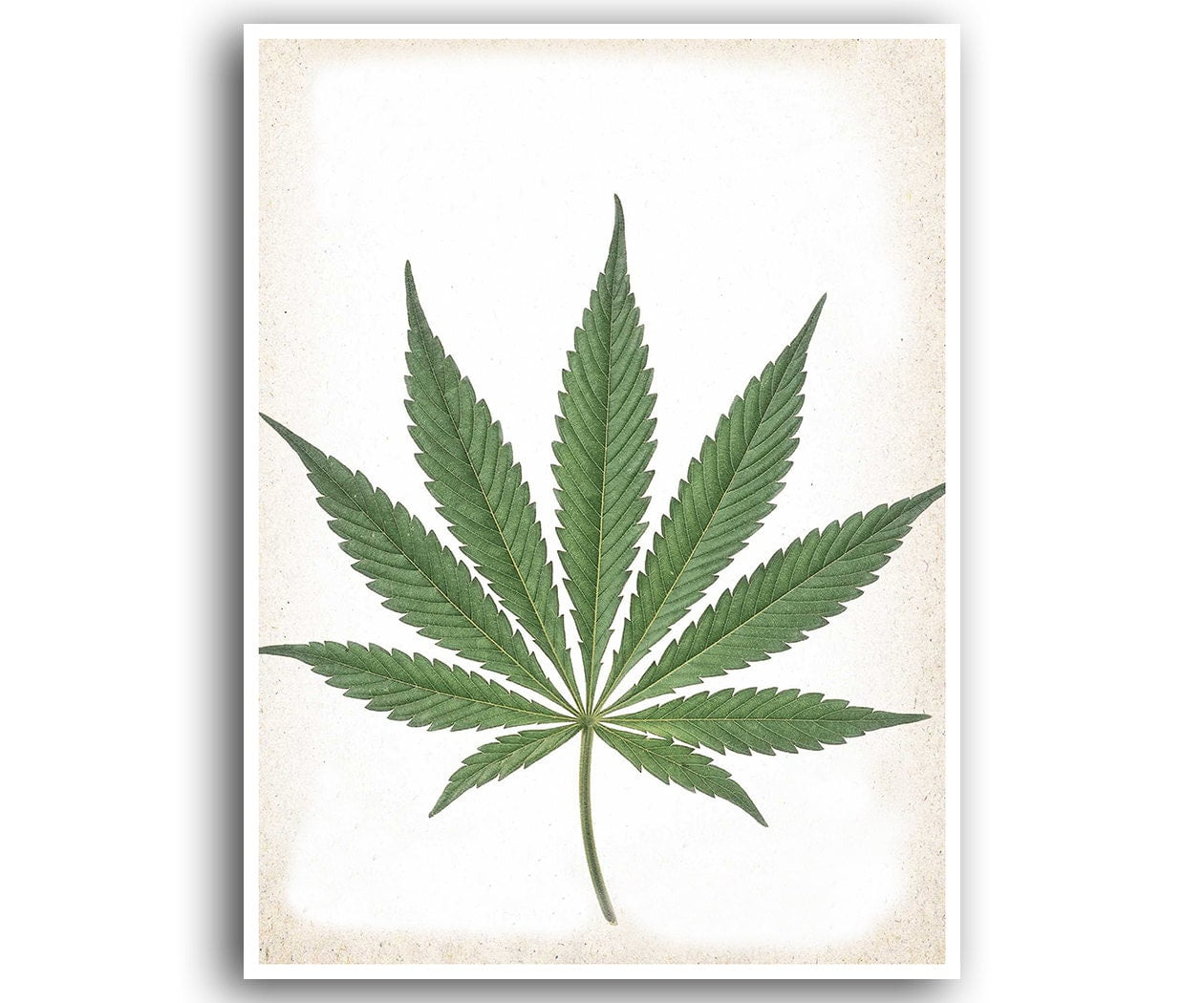 POSTER Cannabis Art Marijuana Print Weed Poster Hemp Plant Wall Decor ...