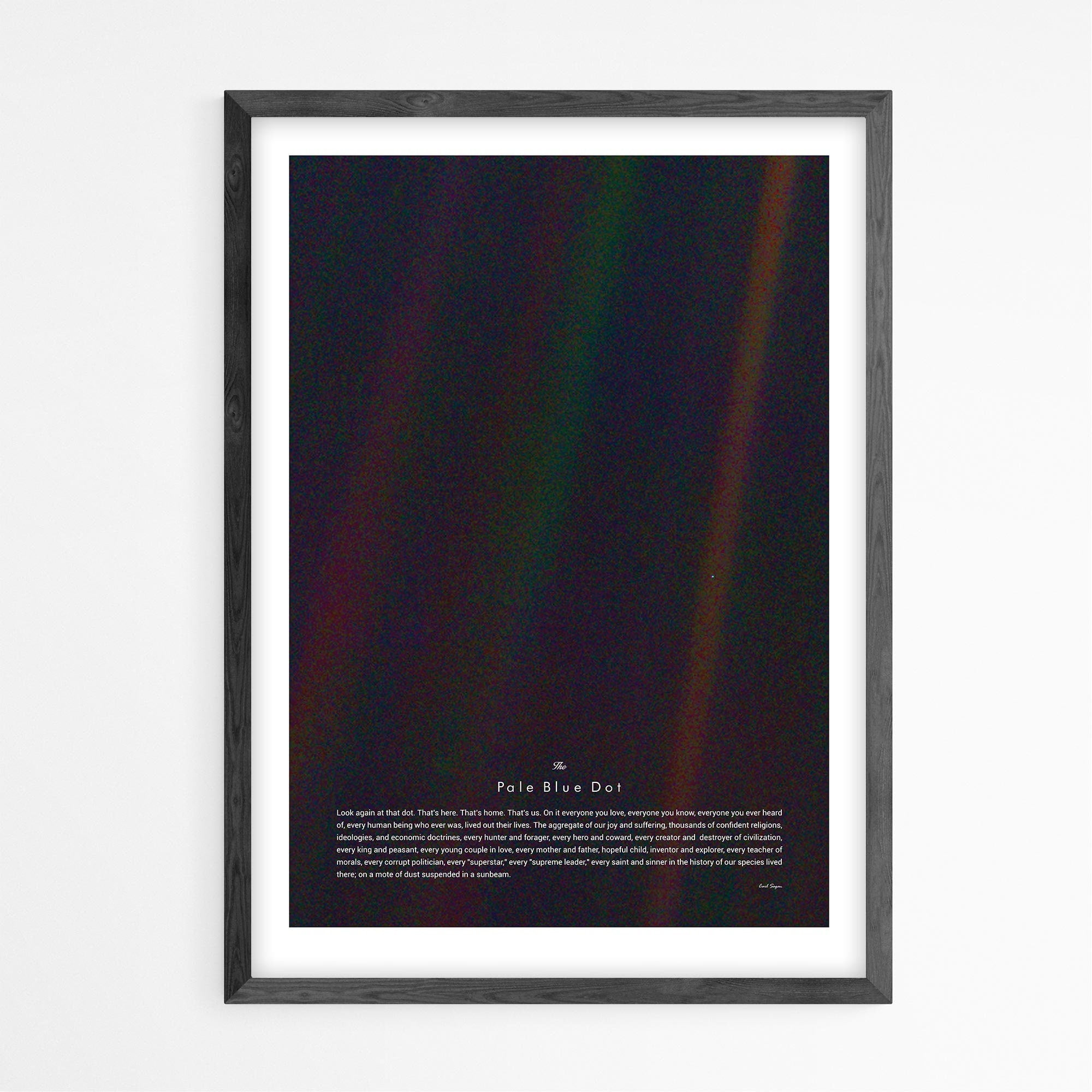 Poster Carl Sagan The Pale Blue Dot Print, NASA Poster Print ...