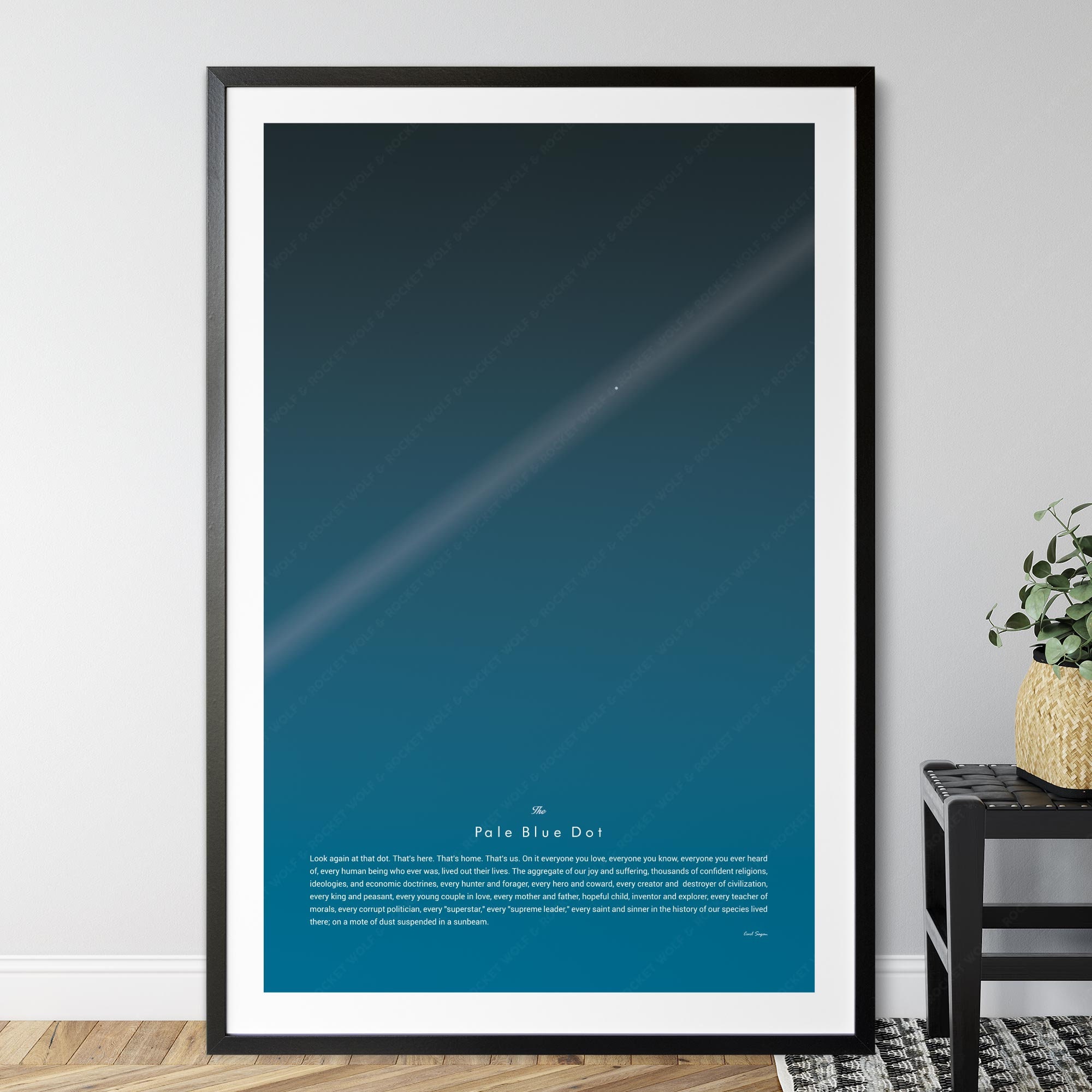 Poster Carl Sagan The Pale Blue Dot Print, Poster Print, Inspirational ...