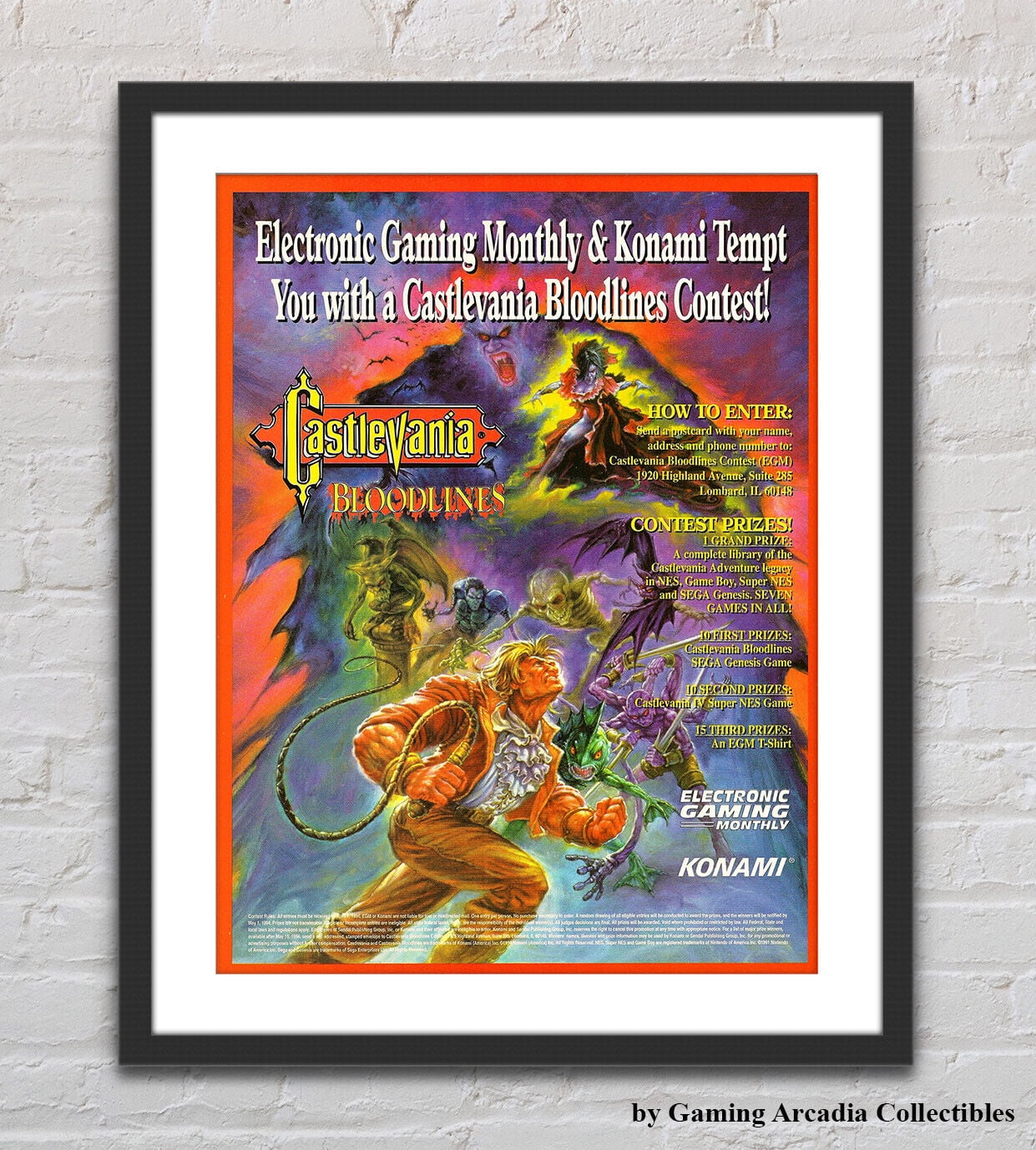 POSTER Castlevania Bloodlines Sega Genesis Poster-12x18-UNFRAMED ...