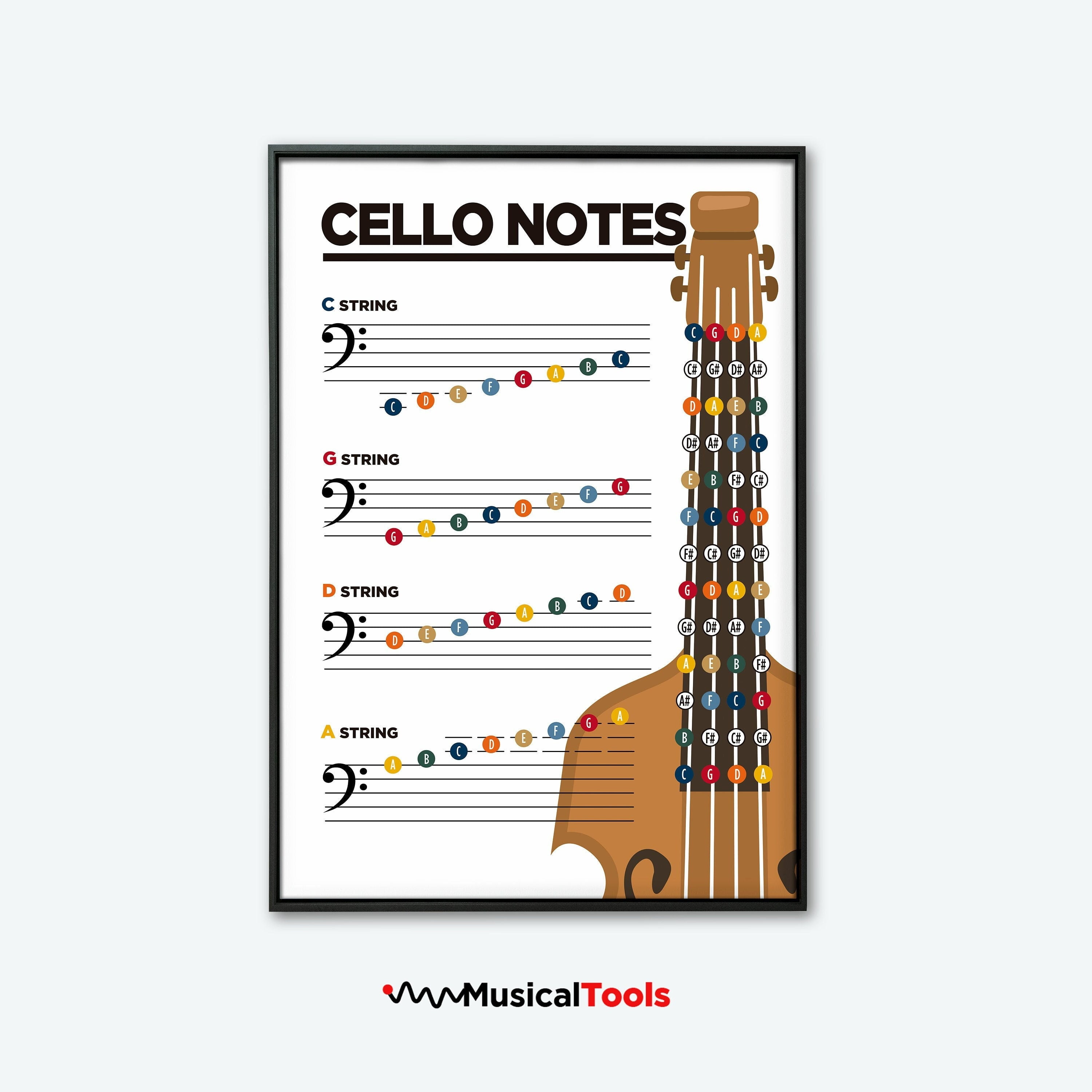 POSTER Cello Notes Music Theory Poster. Learn Cello Notes. Cello Notes ...