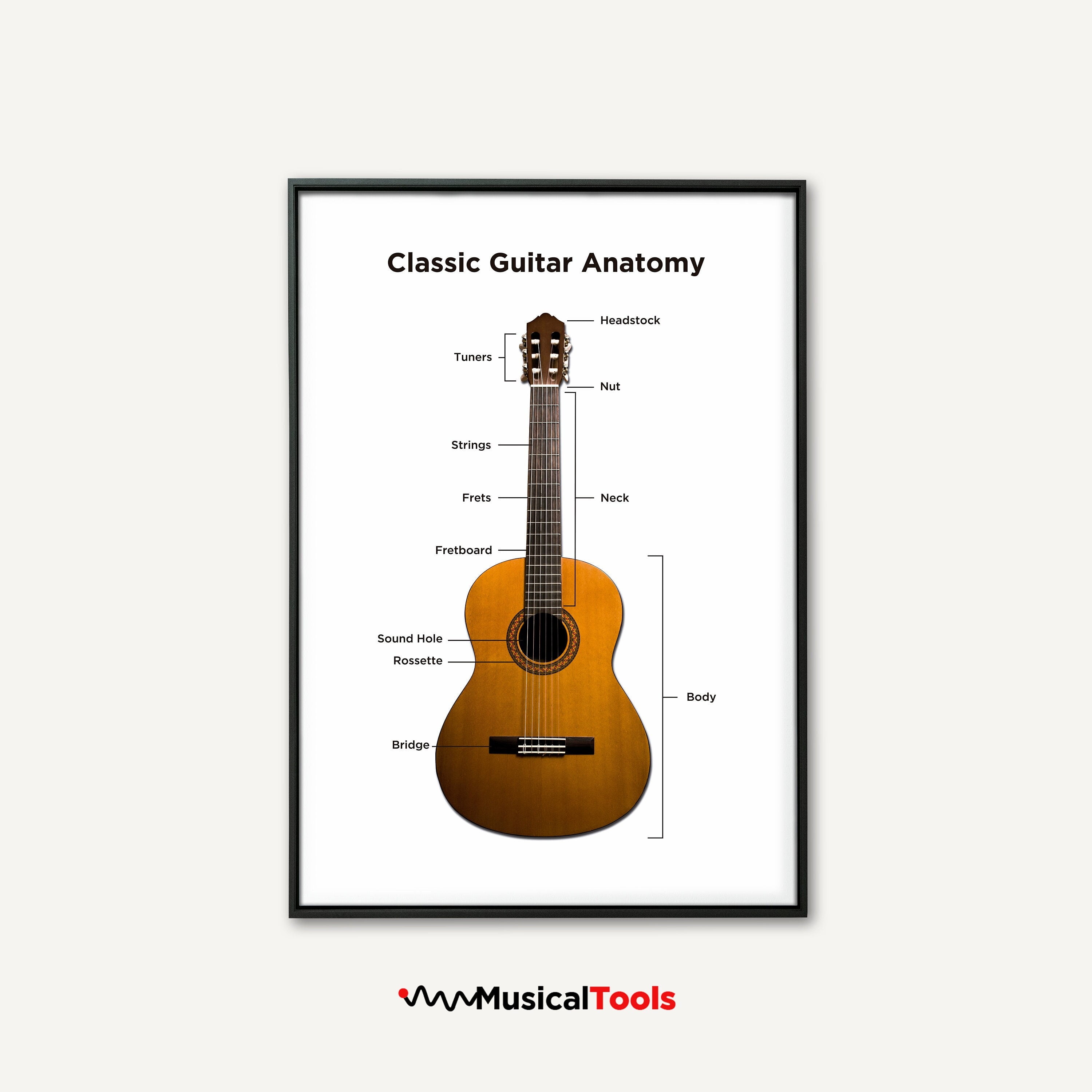 POSTER Classic Guitar Anatomy Poster. Classic Guitar parts. Classical ...