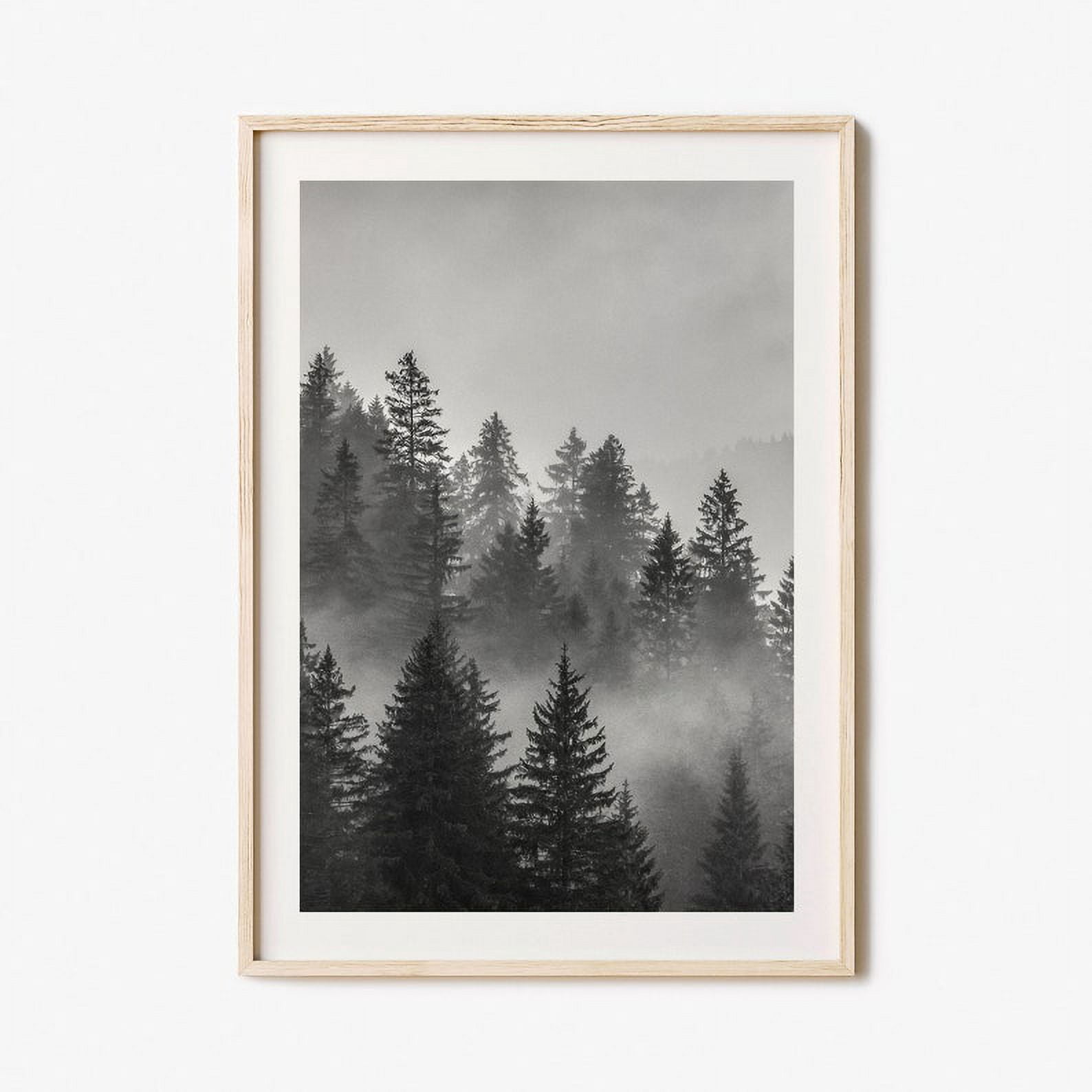 POSTER Cloudy Forest Photo Poster Print No 2, Cloudy Forest Black and ...