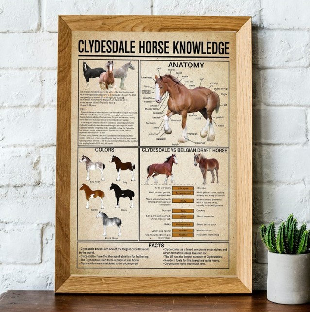 POSTER Clydesdale Horse Poster Knowledge, Anatomy, Colors, And Facts ...