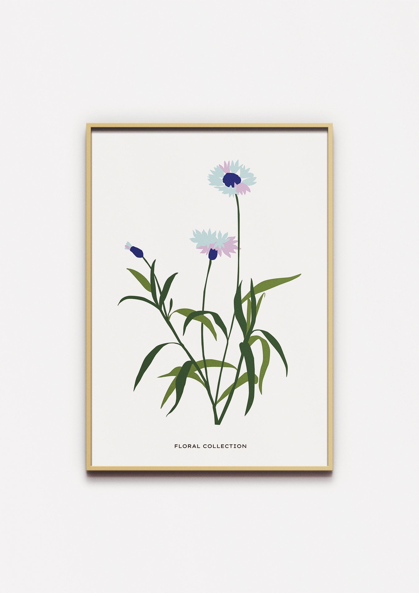 POSTER Cornflower botanical Print, Flower Market Poster, Exhibition ...
