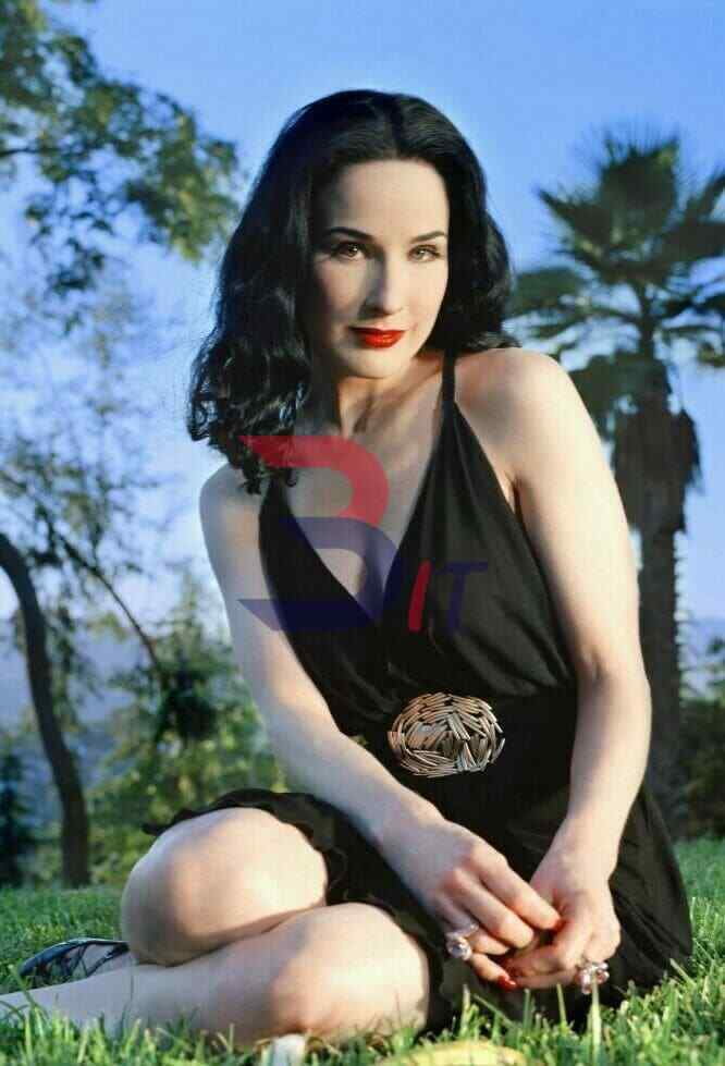 POSTER DITA VON TEESE POSTER-12x18-UNFRAMED - Walmart.com