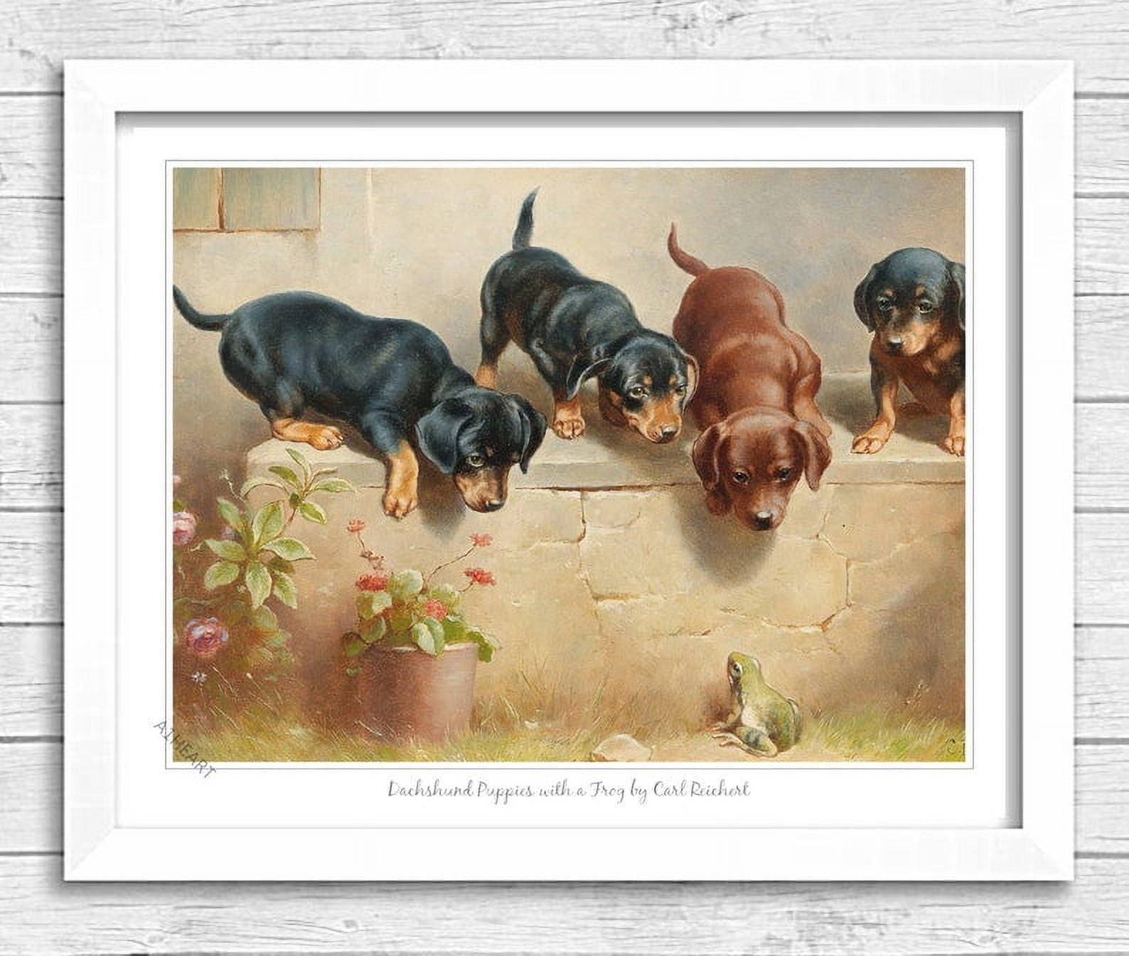 POSTER Dachshund Puppies by Carl Reichert Poster Print. Dogs looking at ...