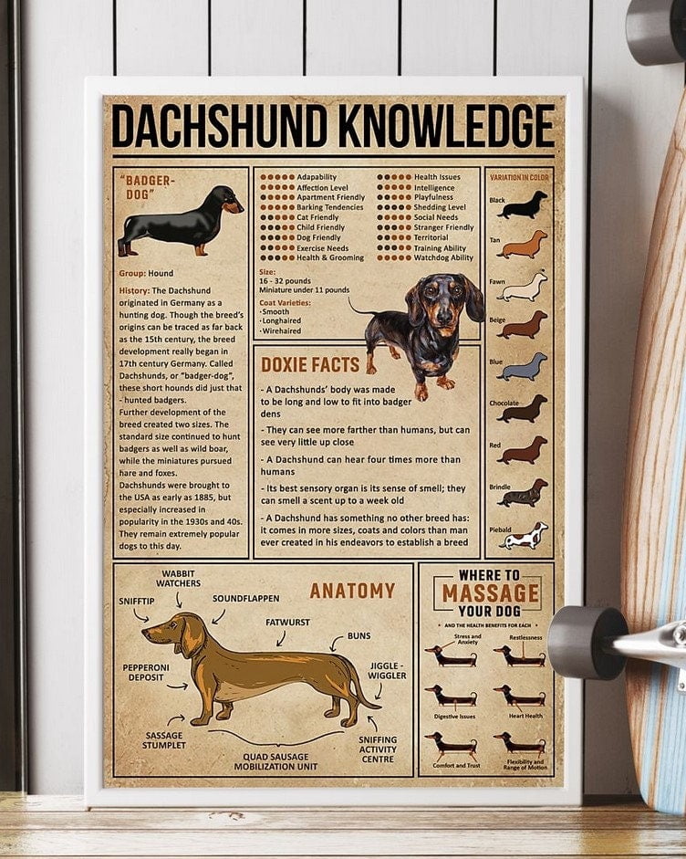 POSTER Dachshund Wiener Dog Dachshunds Knowledge Dog Knowledge Poster ...