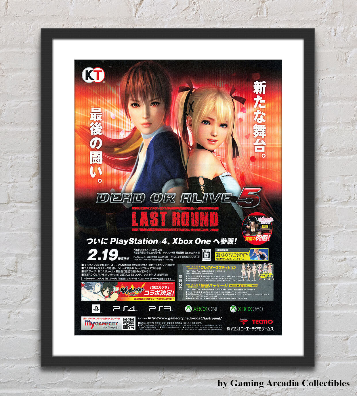POSTER Dead Or Alive 5 Last Round PS4 PS3 XBOX Poster-24x36-UNFRAMED ...