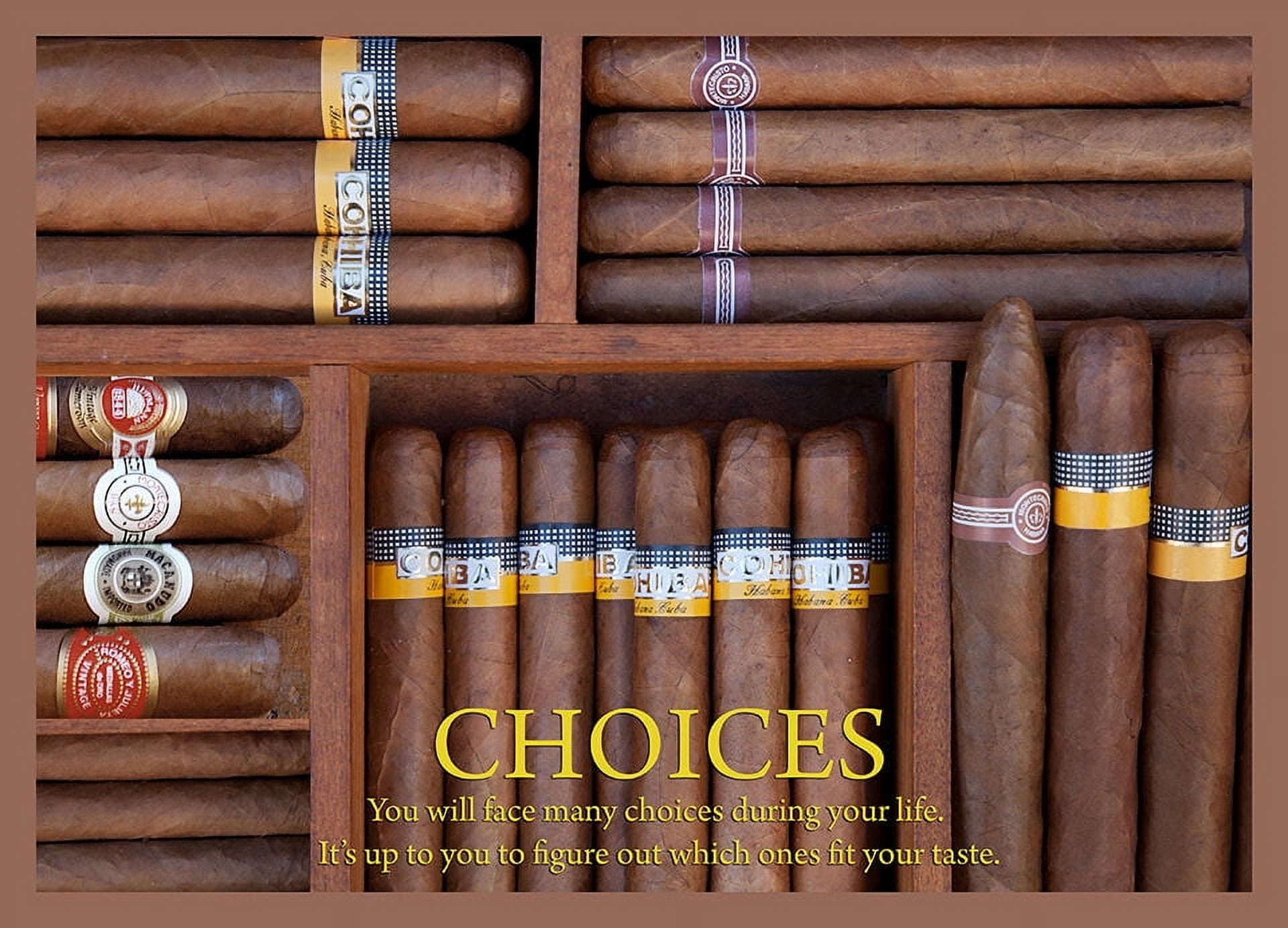 POSTER Designer decoration Poster.Cuban cigars.Choices.Motivational ManCave art.q232-12x18 ...