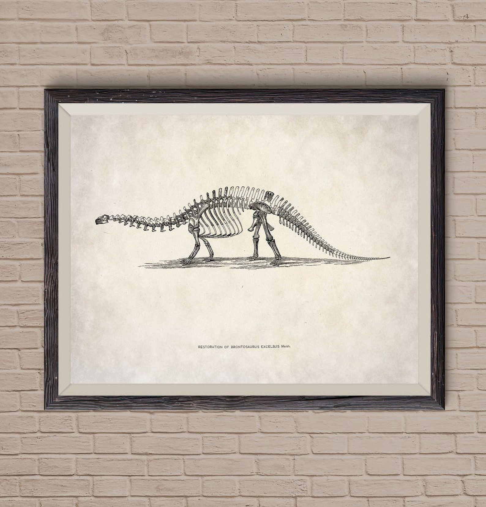 POSTER Dinosaur Brontosaurus Dinosaur print, anatomy print, dinosaur ...